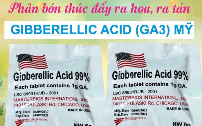Hướng dẫn pha, sử dụng Gibberellin GA3 đúng cách, hiệu quả cao - Cây ...